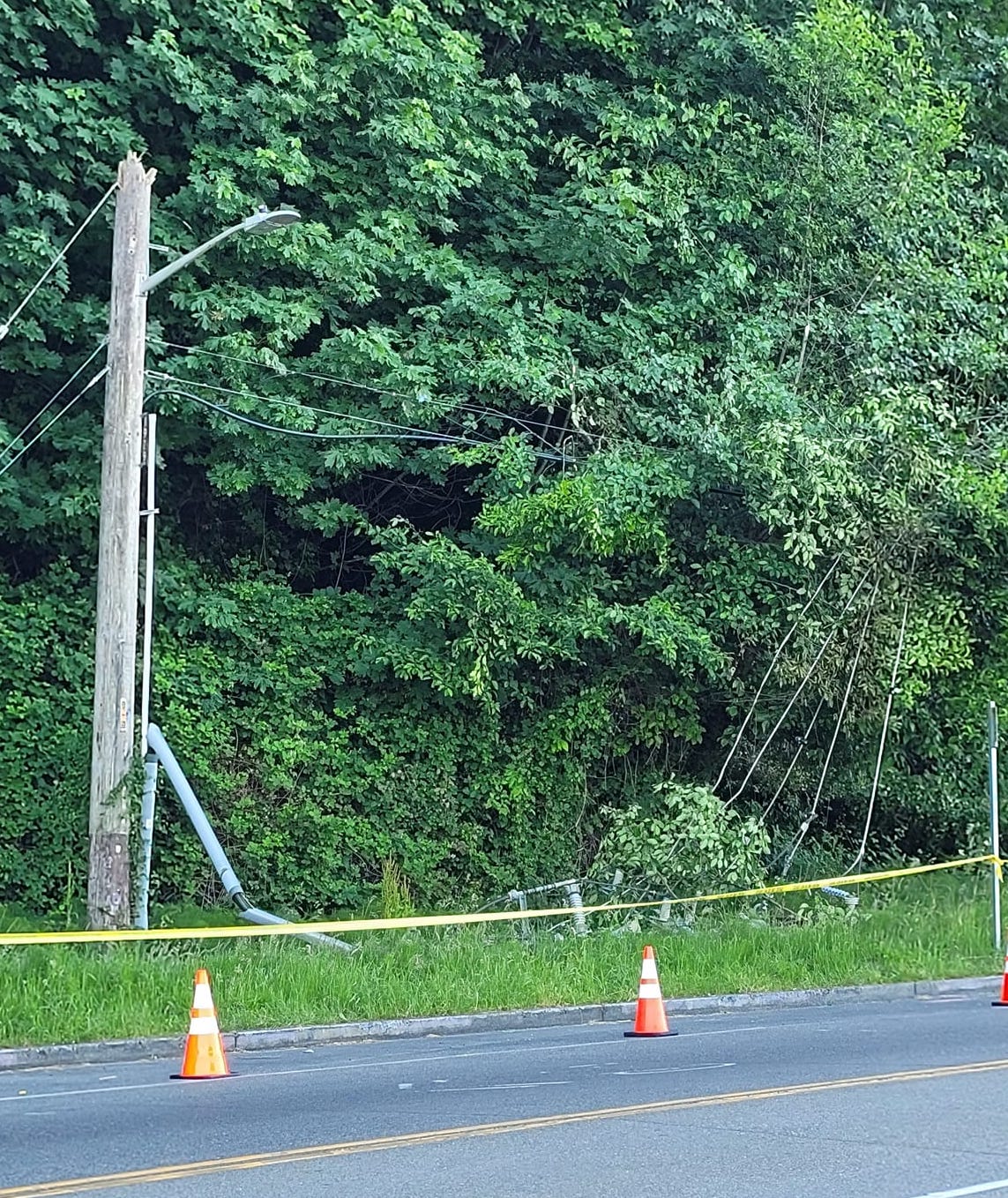 Tree fall snaps power pole knocking out power in Admiral District ...